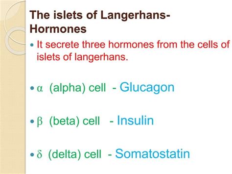 Pancreas Endocrine Function Ppt Pptx