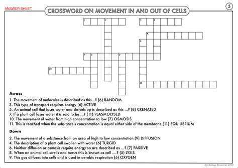 GCSE Biology Diffusion Osmosis And Active Transport Worksheet Pack Teaching Resources