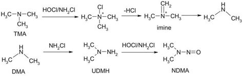 5 The Ndma Generation Pathway From Tma Or Dma In The Presence Of