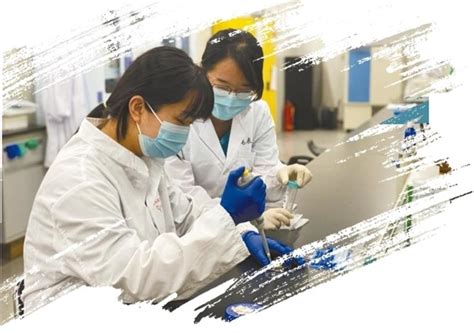 电子与信息学部
