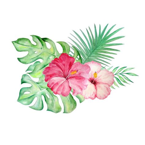 Hibisco Tropical De Las Flores De La Acuarela Stock de ilustración