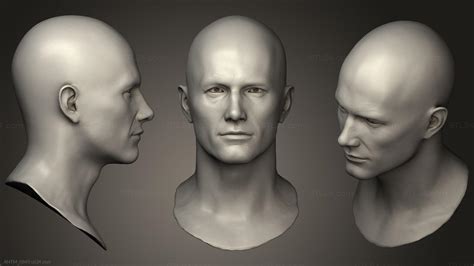 Anatomy Of Skeletons And Skulls Male Head Sculpt 01 ANTM 0849 3D