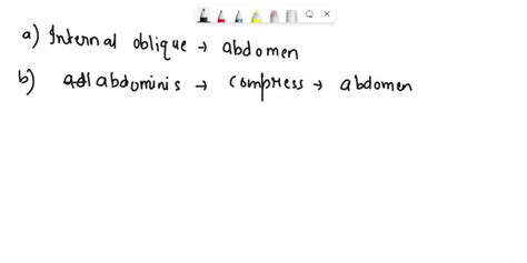 Solved Answer The Following Question Using The Image Below 2pts 19a