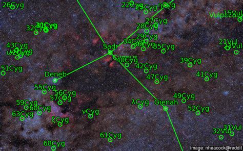 Cygnus Widefield R Astrophotography