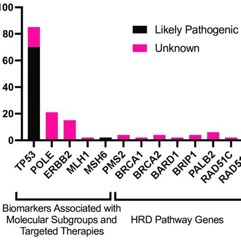 Frequency Of Mutations In Genes Associated With Molecular Download