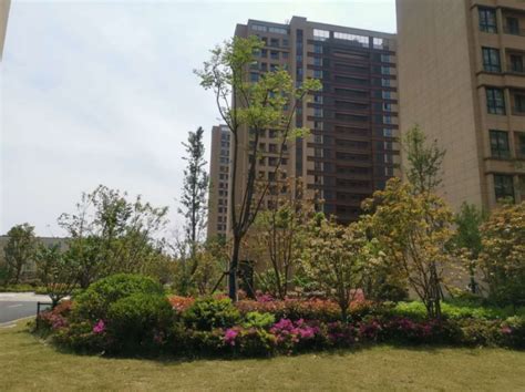 上海汇丰名都实景图4 吉屋网
