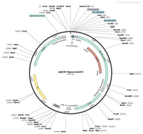 Addgene Pqe30 Hypocratescs