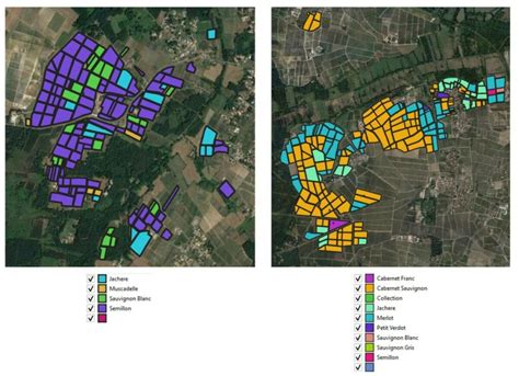 How To Synthesize A History Of Vegetation Maps On Large Parcels Of Land