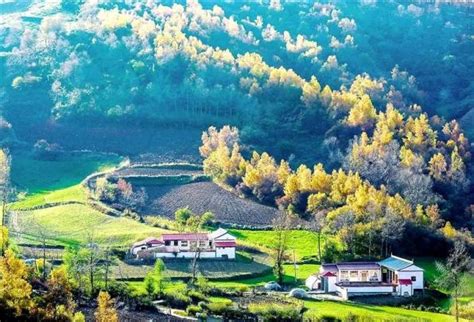 摄影师镜头下的临夏秋色澎湃号·政务澎湃新闻 The Paper
