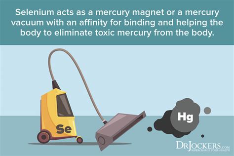 Silymarin Mercury Detox Informacionpublica Svet Gob Gt