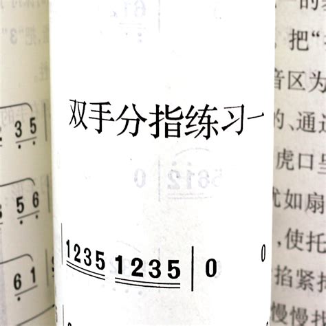 正版古筝初学入门教材简谱修订版古筝基本演奏技法书籍人民音乐出版社林玲儿童古筝基础知识入门教材书古筝基础练习曲教程书 虎窝淘