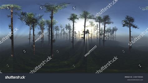 trees fog environment map hdri map stock illustration 2389798985