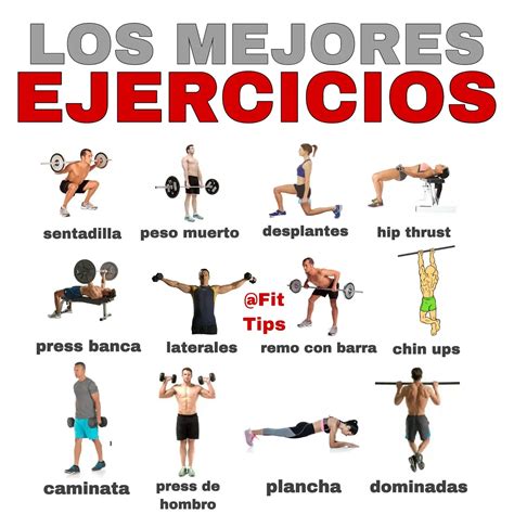 Ejercicios Para Ganar Músculo Alternativas Esenciales
