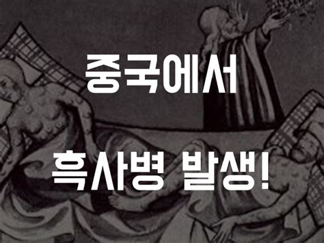 중국에서 전염성 강한 흑사병이 발생했다고 합니다 네이버 블로그