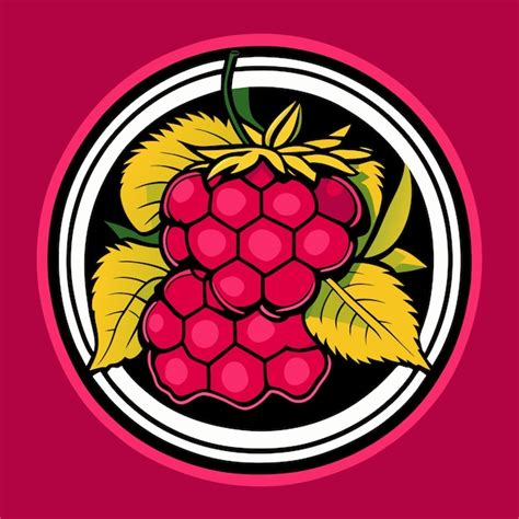 Premium Vector Raspberry Vector Illustration