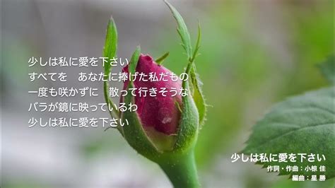 少しは私に愛を下さい（自作カラオケ 小椋佳コピー） Youtube