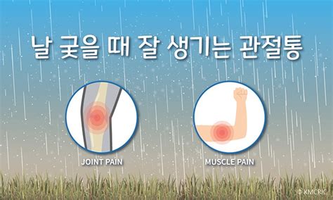 한의약융합연구정보센터 Kmcric 생활 속 한의 날이 흐리거나 비가 오면 몸 여기저기가 쑤시고