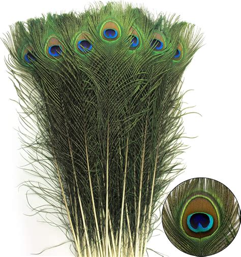 Peacock Tail Eye Feathers Ininti Traders