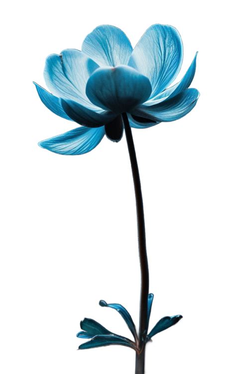 Scroll Driven Scroll Snapping Animations In Css