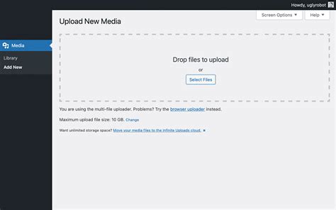 Big File Uploads Increase Maximum File Upload Size Wordpress Plugin
