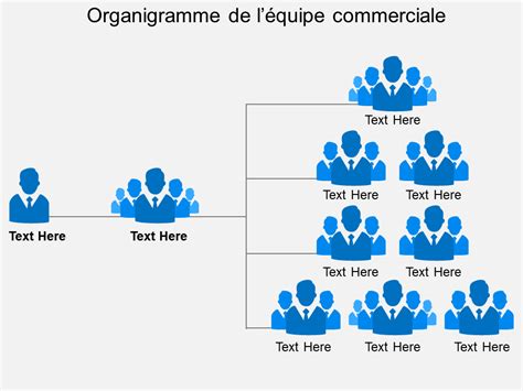 Top 20 des modèles d organigramme pour présenter la structure interne