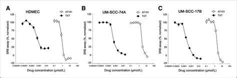 Cytotoxic Profile Of At101 And Taxotere In Endothelial Cells And Head