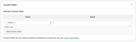 Wordpress Custom Fields Explained All You Should Know Visual