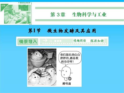 【创新设计】高二生物人教版选修2课件3 1 微生物发酵及其应用word文档在线阅读与下载无忧文档