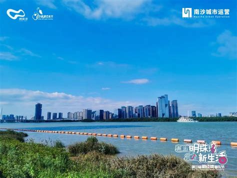 邂逅第三届明珠湾音乐节！用音符谱写明珠湾的发展故事 凤凰网区域 凤凰网