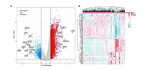 Differential Expression Analysis A Volcano Plot Of Differentially Download Scientific