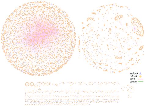 Myocardial Infarction Related Differential LncRNA MRNA Co Expression