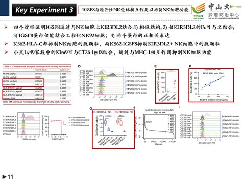 读书报告 Igsf8是一个先天性免疫检查点和免疫治疗靶点 Medscicn