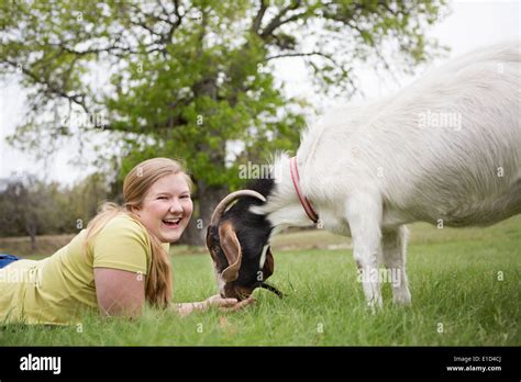 Ein Mädchen mit einer Ziege auf dem Rasen Kopf an Kopf liegen Stockfoto Bild Alamy