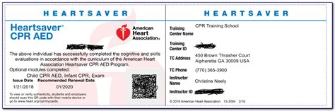 What Is Bls Acls Certification Prosecution2012