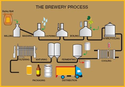 Beer Fermentation Diagram