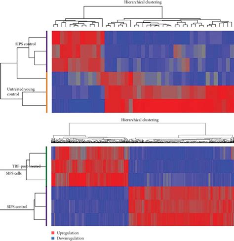 A PCA And B Hierarchical Clustering Of The Data Clustering Download Scientific Diagram