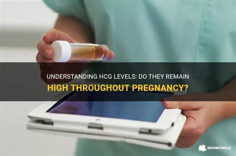 Understanding Hcg Levels Do They Remain High Throughout Pregnancy