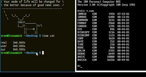 Listão De Comandos Equivalentes Do Ms Dos E Unix Linux Bulfaitelo Project