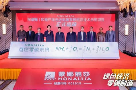 陶瓷板 砖量产线先进氨氢零碳燃烧技术示范项目正式启动 新能源资讯 新能源网