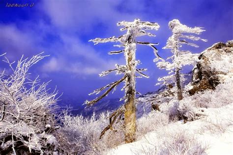 Spectacular Pictures Of Nature By Photographer Jaewoon U