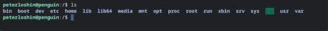 What Is Bash Bourne Again Shell