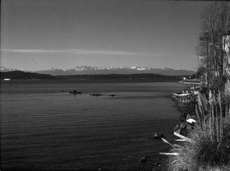 Black And White Filters Tutorial Freestyle Photographic Supplies