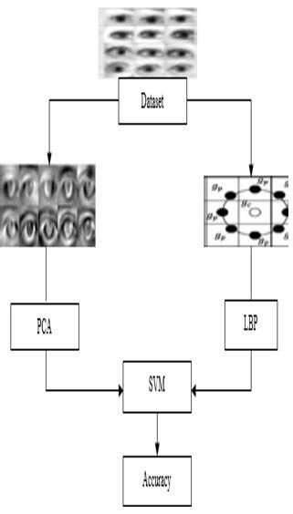 Shows The Overall Architecture Of The Work Carried Out For Feature Download Scientific Diagram