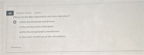 [solved] Multiple Choice 1 Point Where Do The Light Depende