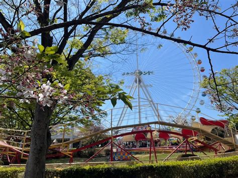 空と坂道 On Twitter Rt Yomiurilandcom よみうりランドの桜は散り始め🌸 本日をもちまして、今シーズンの桜