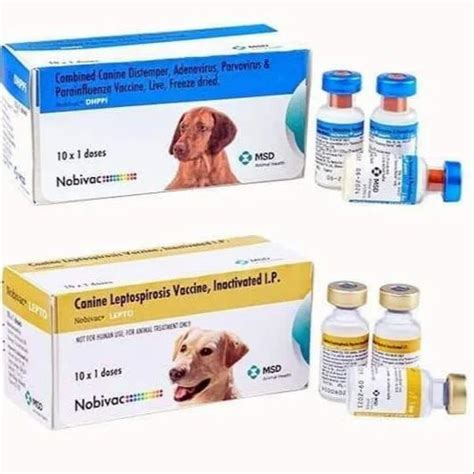 Canine Leptospirosis Vaccine For Hospital Packaging Size Box At Rs