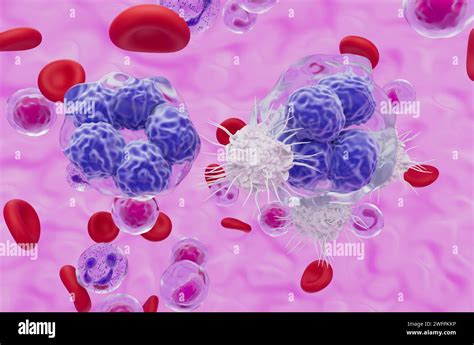 Dendritic Cell Recognise T Cell Lymphoma Cells Closeup View 3d
