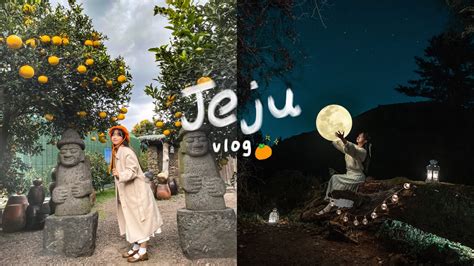 Jeju Vlog 나 혼자 제주도 여행🍊 뚜벅이 겨울 제주☃️ 제주도 4박 5일 코스야간 스냅촬영 서쪽투어버스