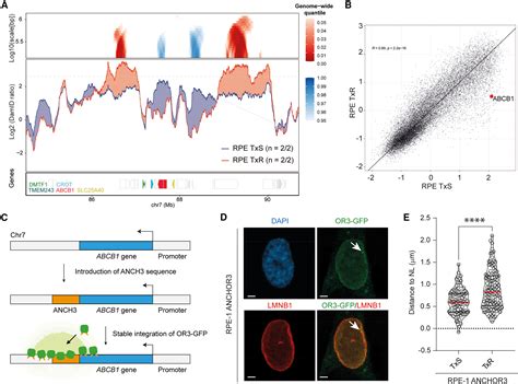 Perturbations In 3d Genome Organization Can Promote Acquired Drug