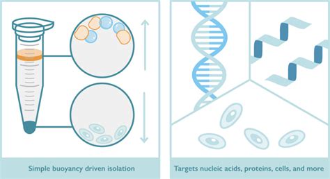 Akadeum Life Sciences Metric Marketing Biotech